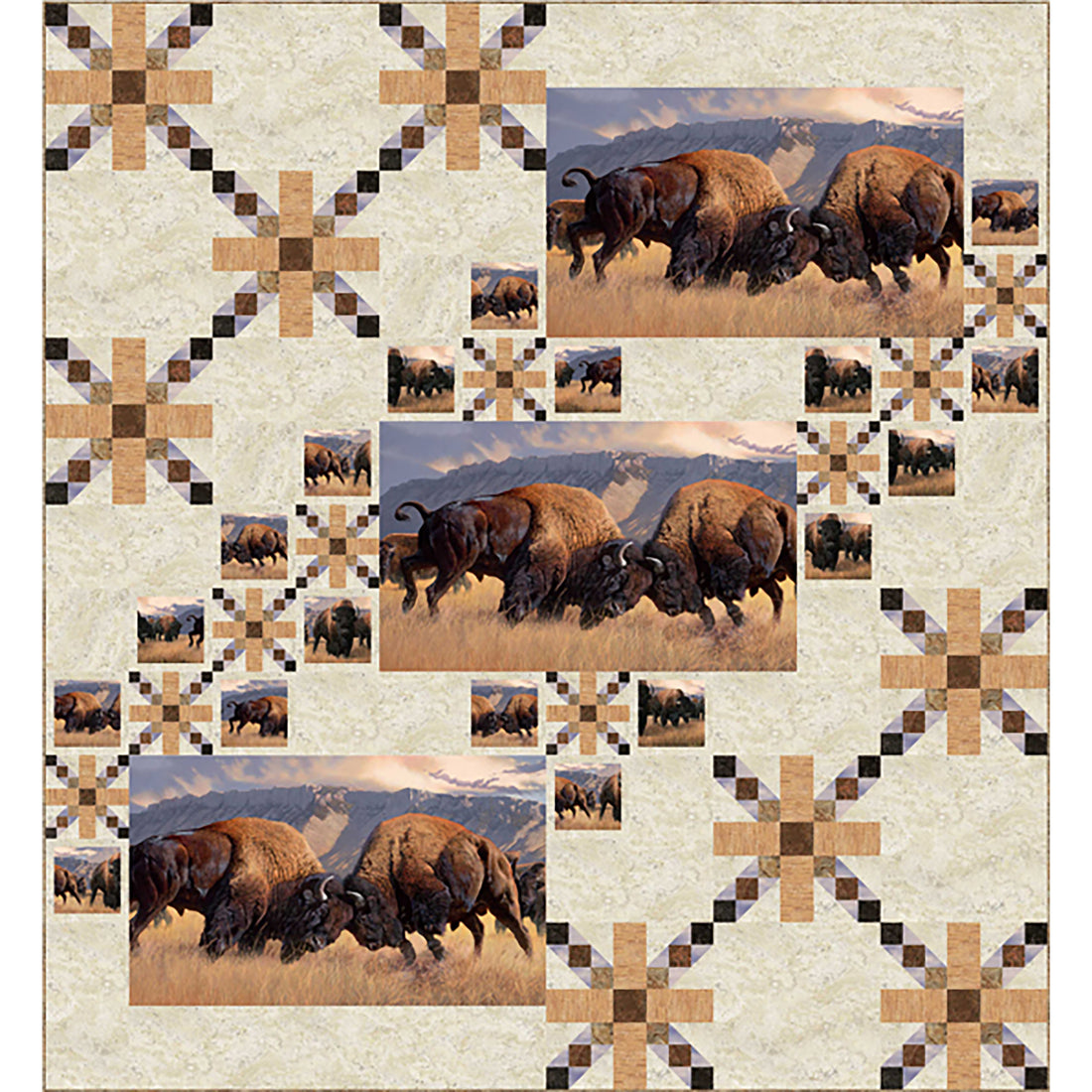 Bison at the Border Quilt PC-209e - Downloadable Pattern – QuiltWoman.com