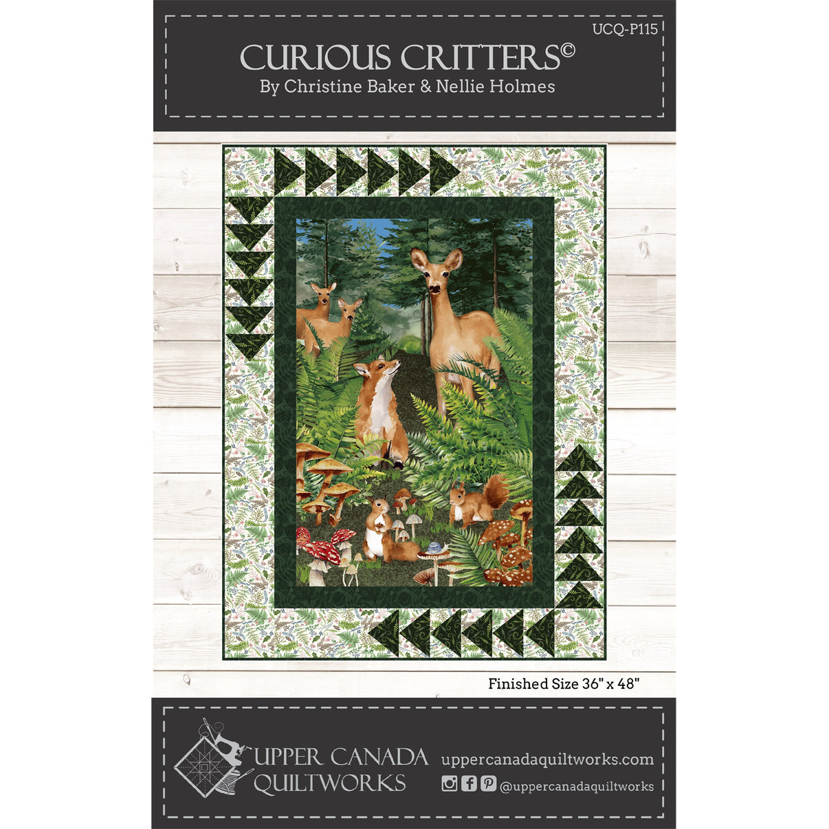 Curious Critters Quilt UCQ-P115e - Downloadable Pattern – QuiltWoman.com