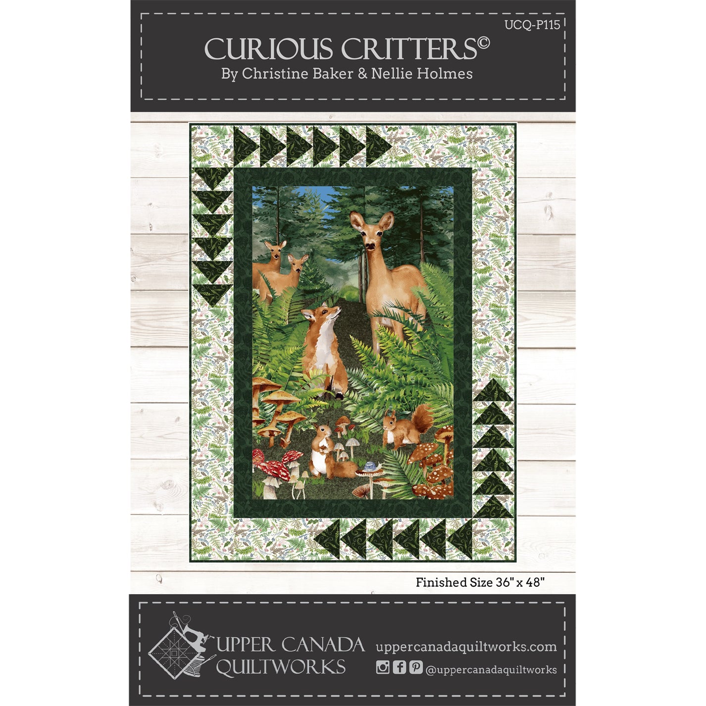 Curious Critters Quilt UCQ-P115e - Downloadable Pattern – QuiltWoman.com