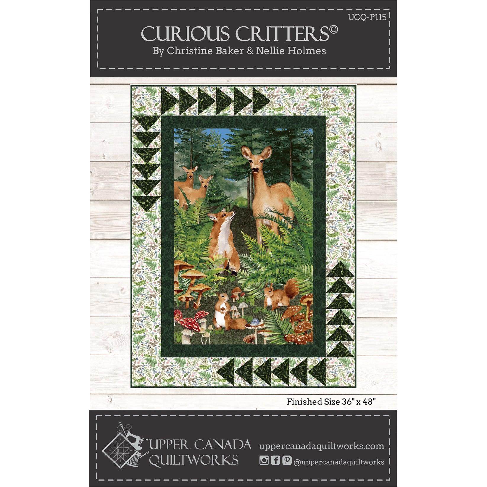 Curious Critters Quilt UCQ-P115e - Downloadable Pattern – QuiltWoman.com